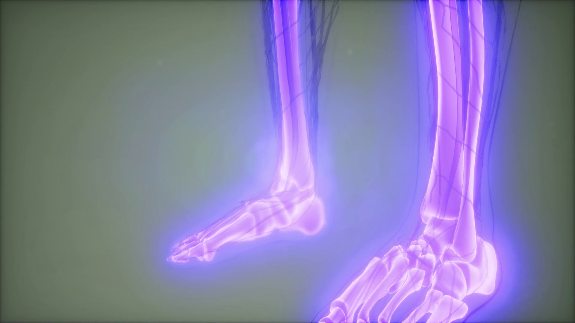 Transparent Human Body With Visible Bones Stock Motion Graphics SBV ...