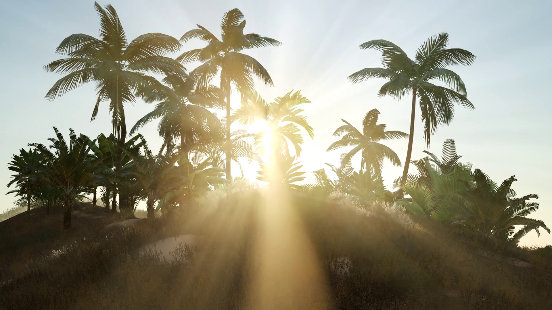 Tropical Beach In Sunny Day Stock Footage SBV-328234870 - Storyblocks