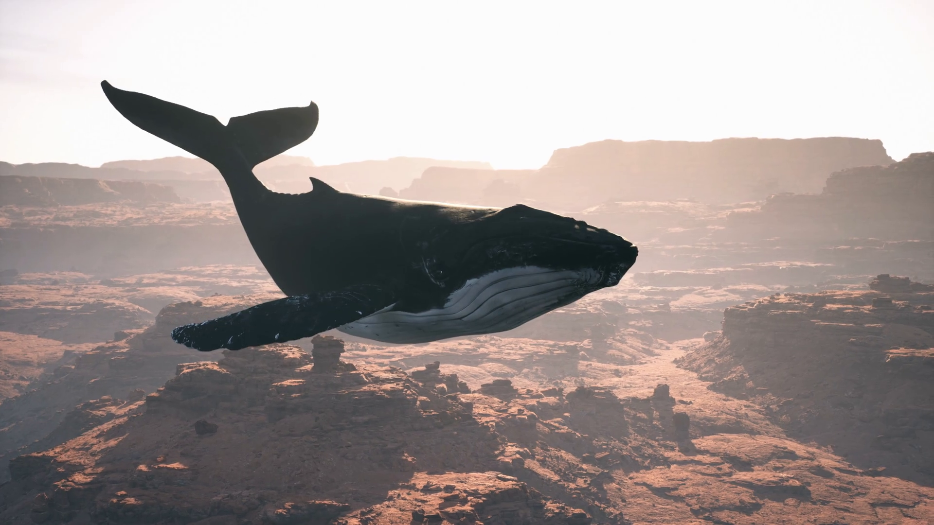 A Majestic Whale Soaring Through Skies Over Stock Motion Graphics SBV ...