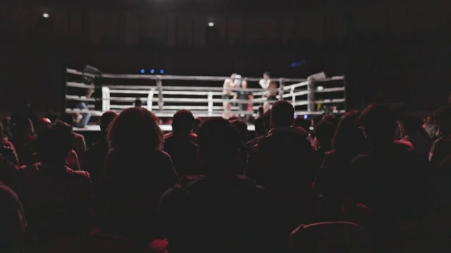 Crowd Boxing Stadium Stock Footage: Royalty-Free Video Clips - Storyblocks