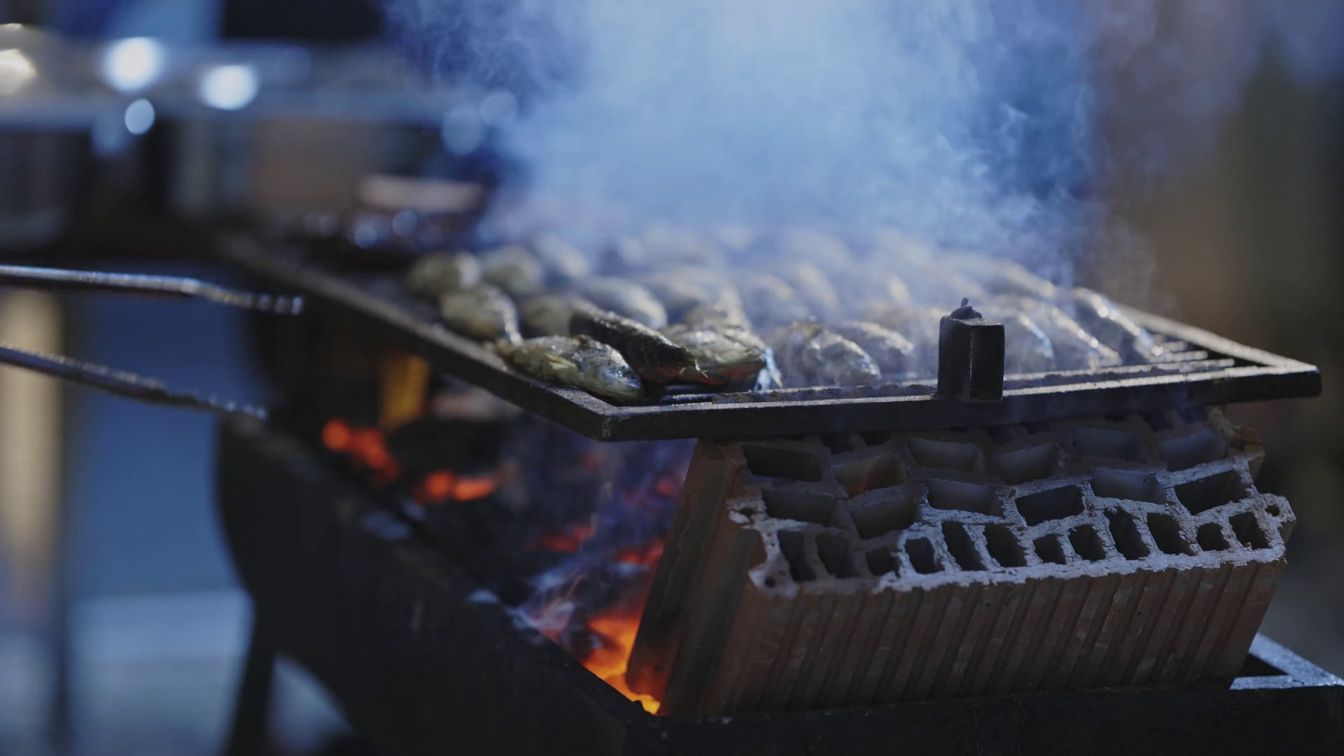 A Person Frying Fish On Grill Stock Footage SBV-348369192 - Storyblocks