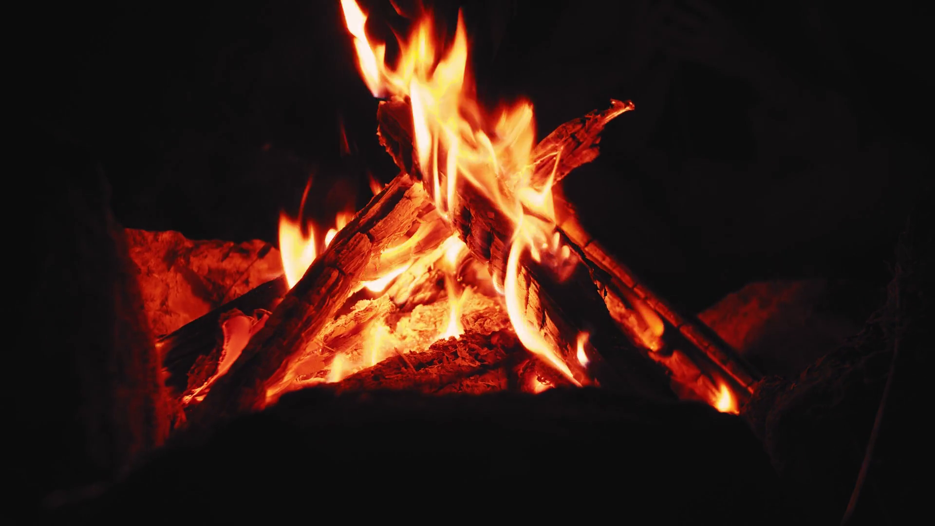 Smoldering Tree In Beautiful Bonfire At Night Stock Footage SBV ...
