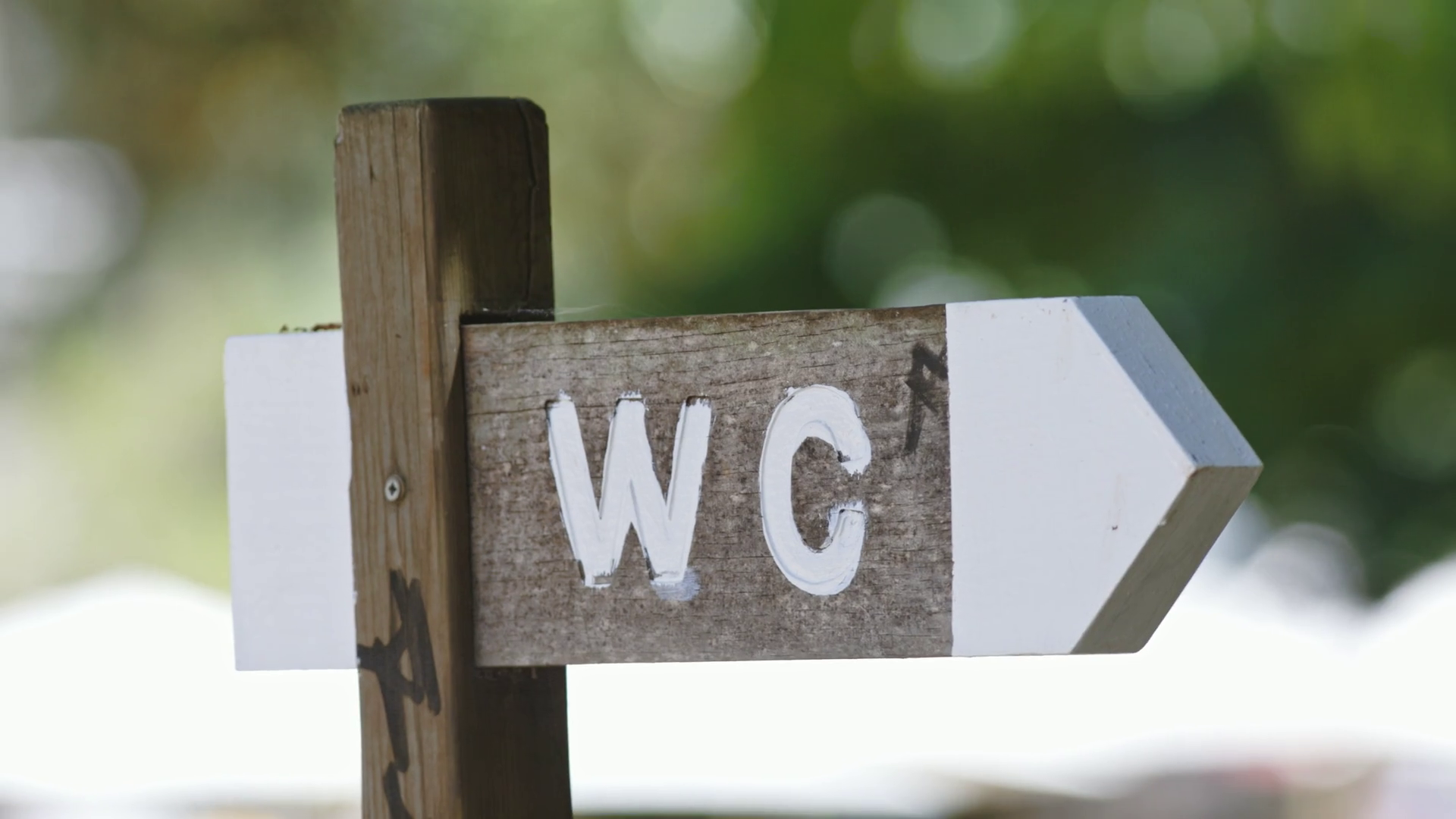 Wc Plate In Park Stock Footage SBV-348453060 - Storyblocks