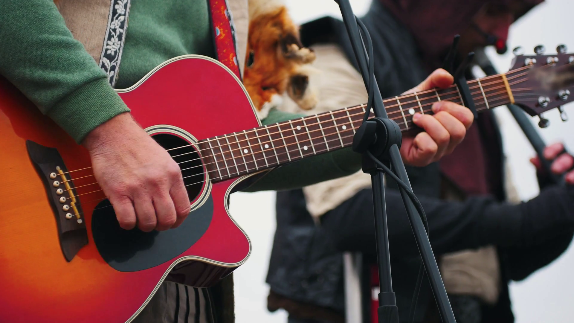 A Music Band Playing Instruments On Stage On Stock Footage SBV ...