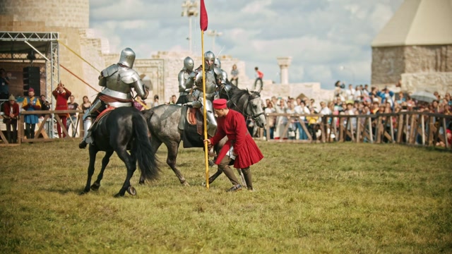 Gladiator Fight | Animals stock footage - Storyblocks