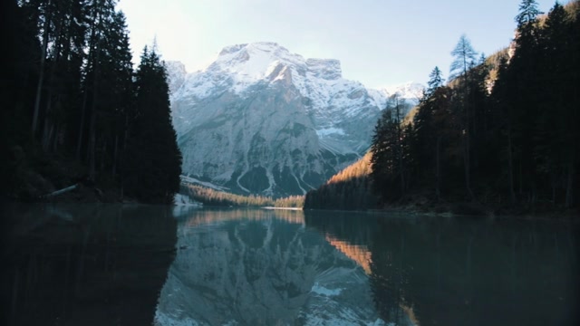 Nature Static Stock Footage: Royalty-Free Video Clips - Storyblocks