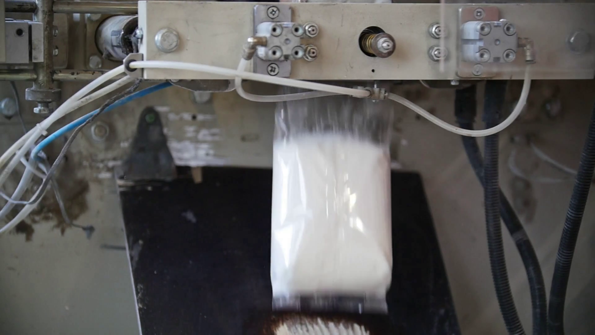 Packing Of White Sugar In Bags On Production Stock Footage SBV ...