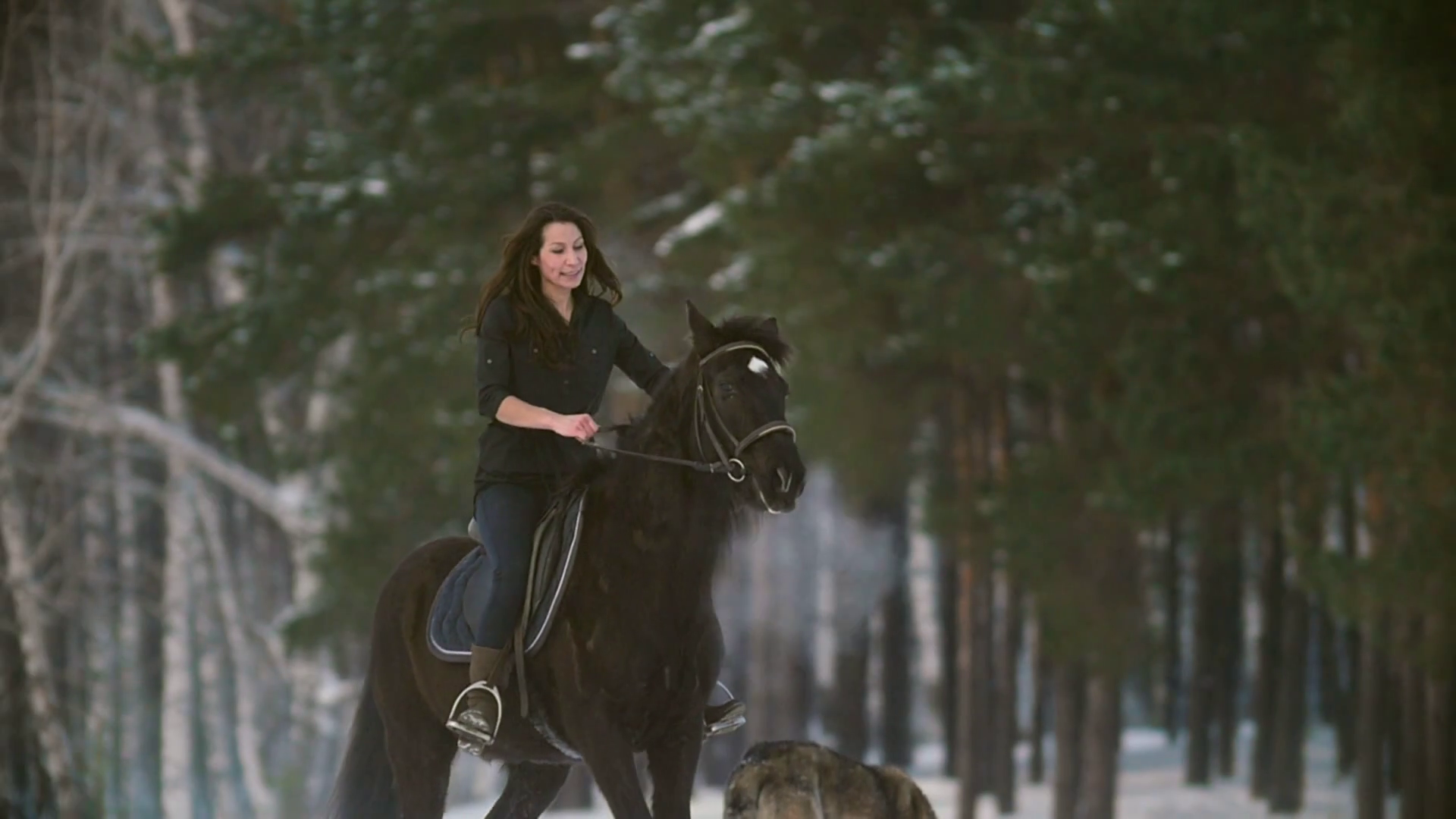 Elegant Woman Riding Horse Through Snowy Stock Footage SBV-321008040 ...
