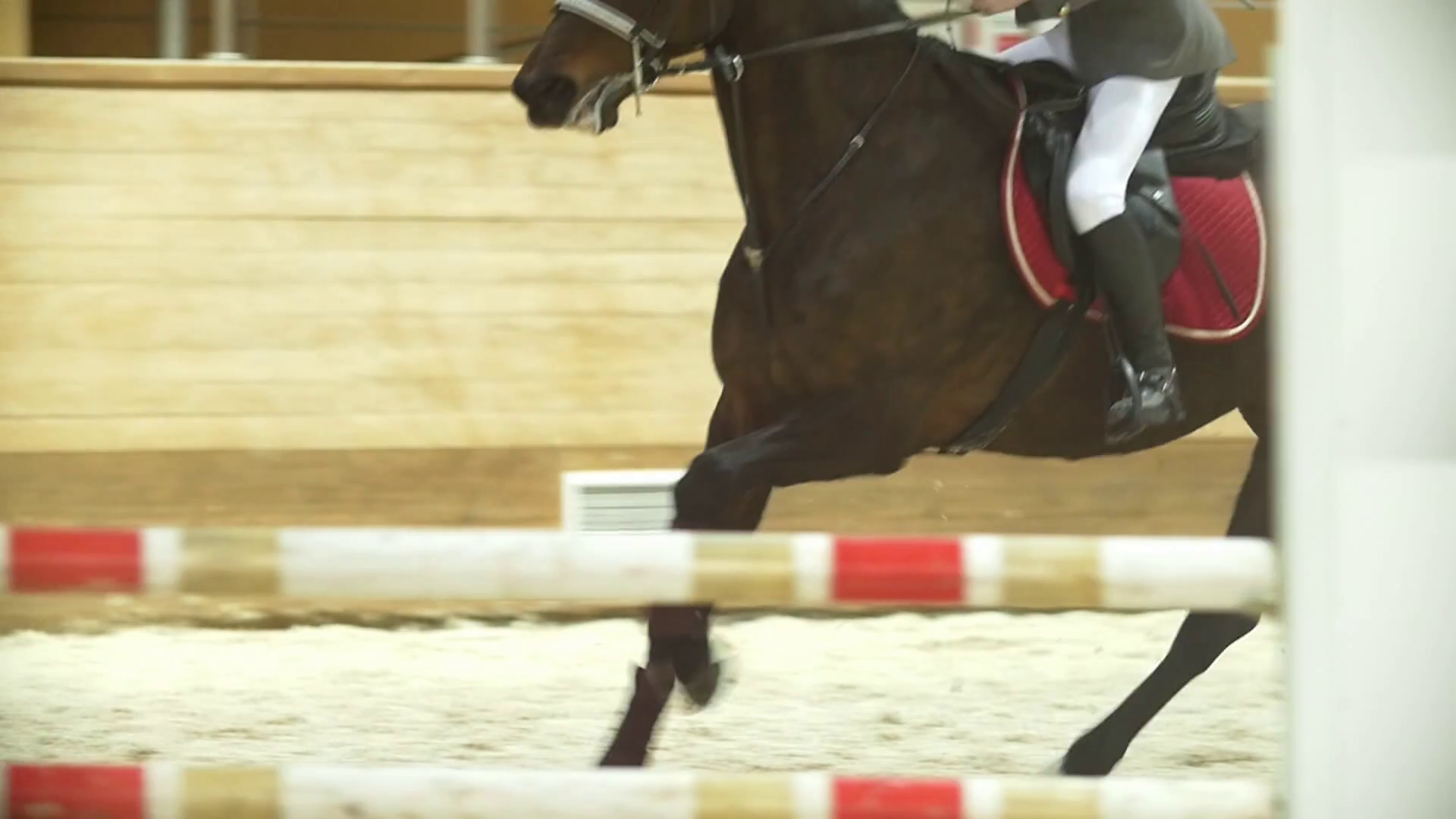 Rider Performing Galloping On Bay Horse Stock Footage SBV-327676118 ...