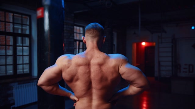 Back Muscles 3d Stock Footage: Royalty-Free Video Clips - Storyblocks