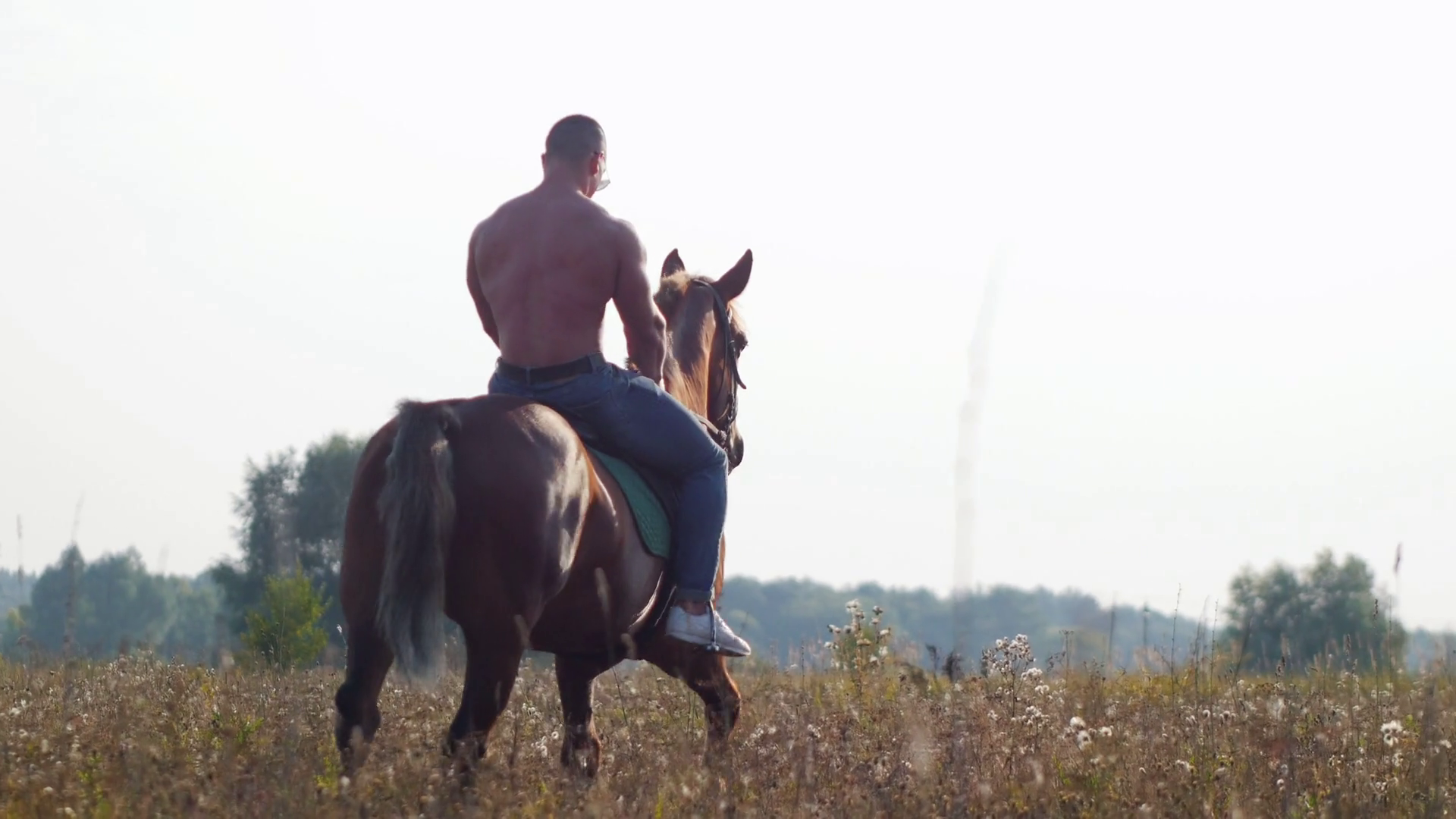 Strong Man With Bare Torso Riding Horse In Stock Footage SBV-326664818 ...