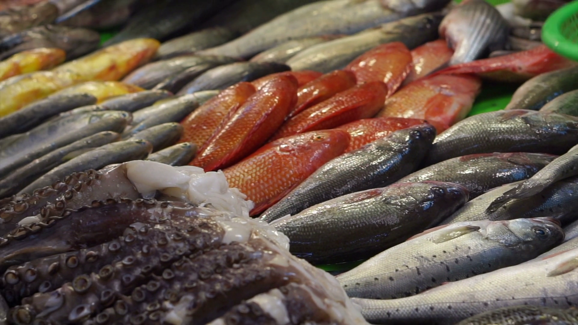 Asian fresh fishes, seafood selling in Taiwan water market Stock Video ...