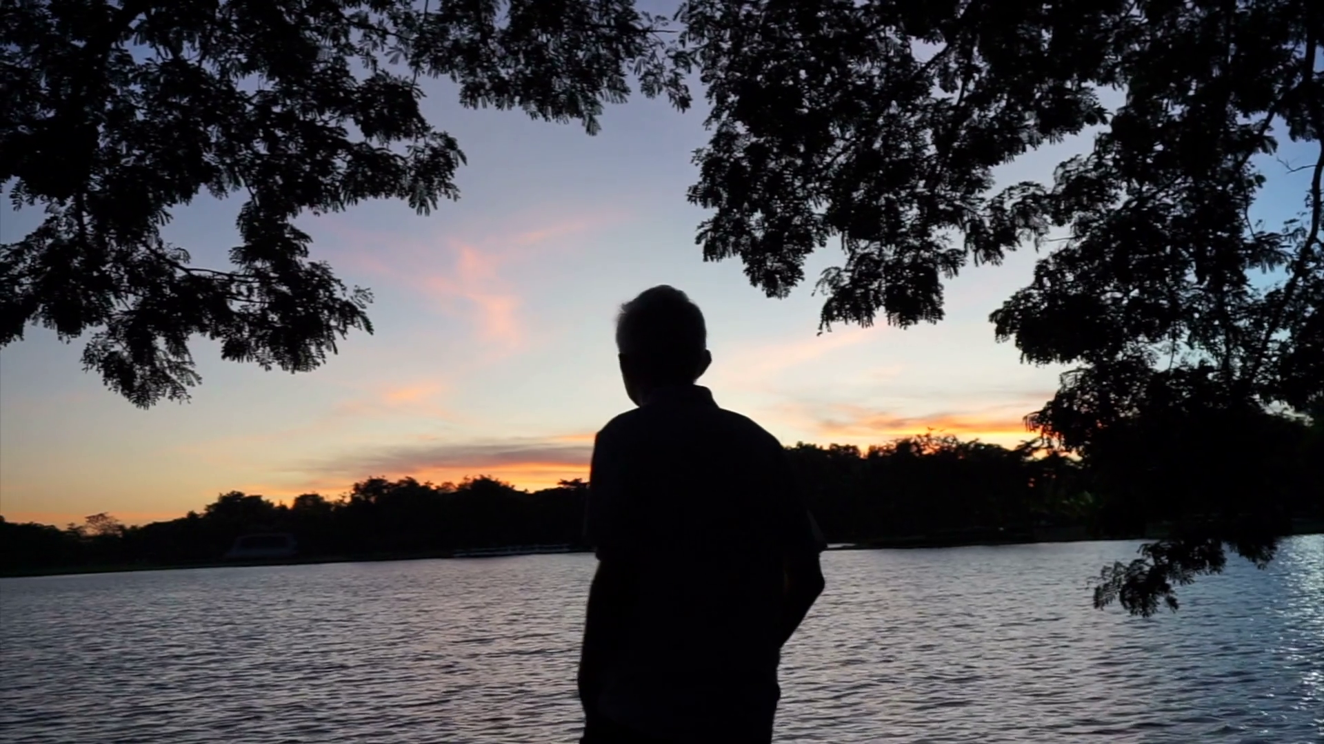 Asian Senior Man Silhouette At Dawn Under Stock Footage SBV-312636439 ...