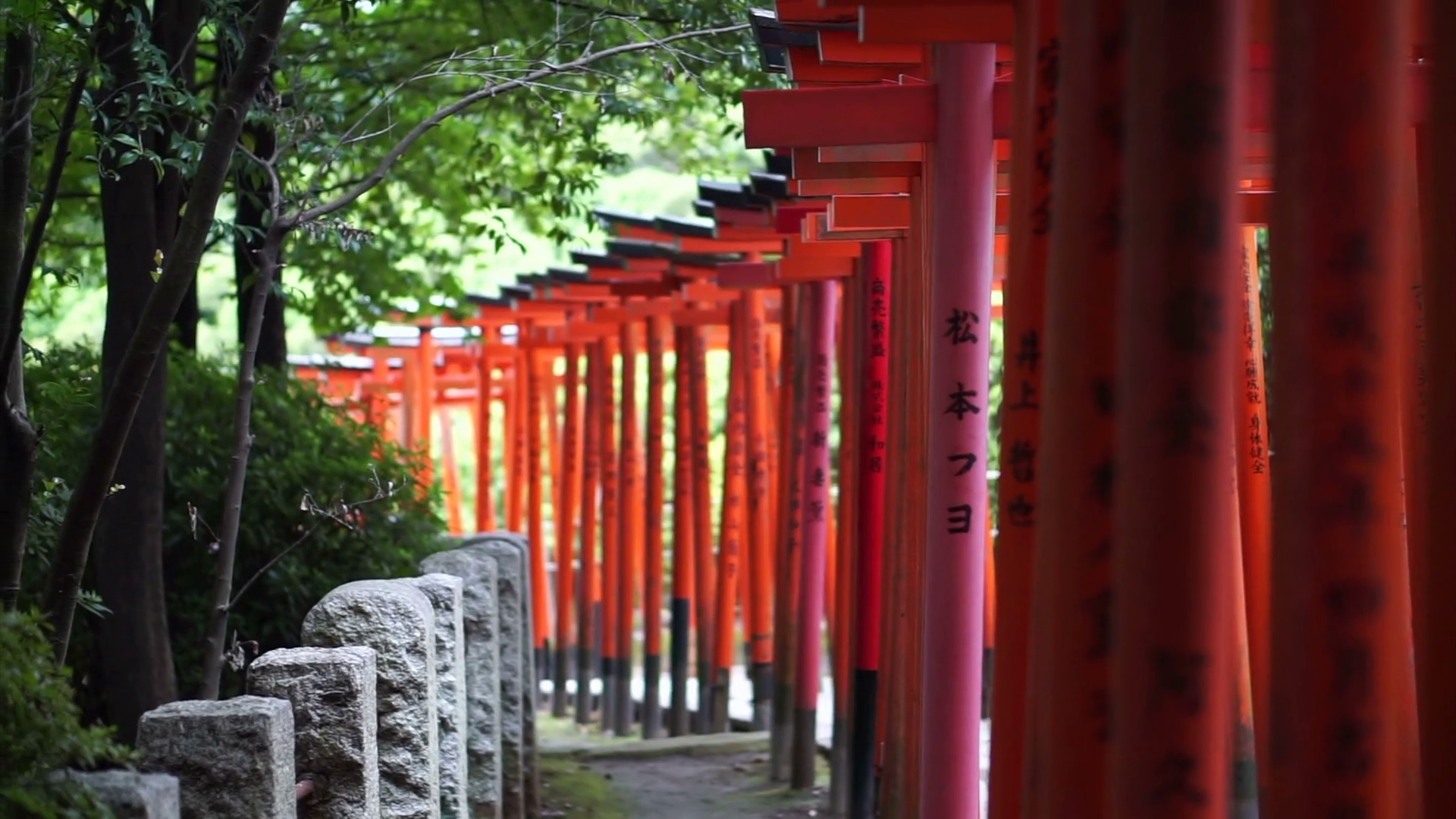 Red Tori Gate In Japanese Shrine Temple With Stock Footage SBV ...