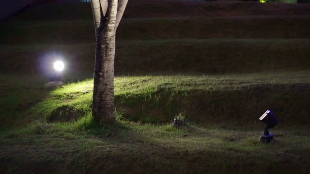 Trunk Night Stock Footage: Royalty-Free Video Clips - Storyblocks