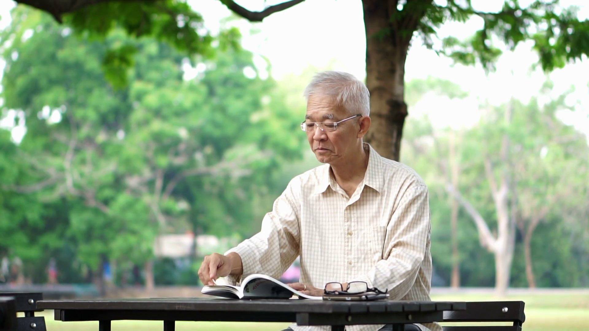 Asian Senior Man Reading Book Alone In Park Stock Footage SBV-318818230 ...