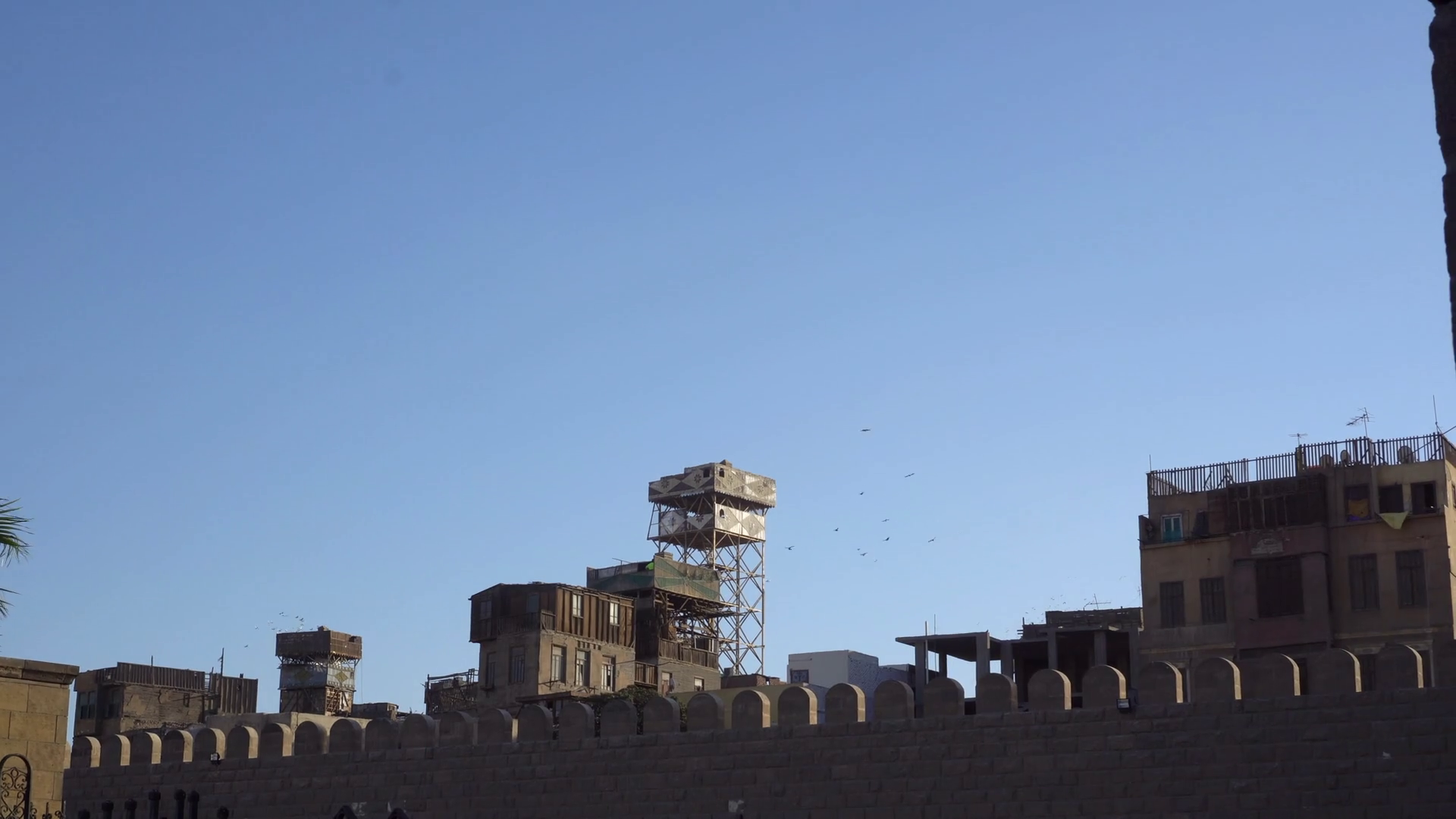Cairo Egypt Pigeon House Tower Farm Breeding Stock Footage SBV ...