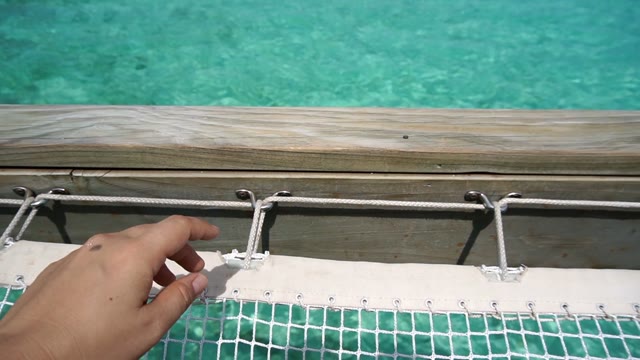 Fish Trap Stock Footage: Royalty-Free Video Clips - Storyblocks