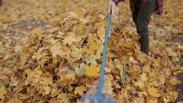 Rake Stock Footage: Royalty-Free Video Clips - Storyblocks