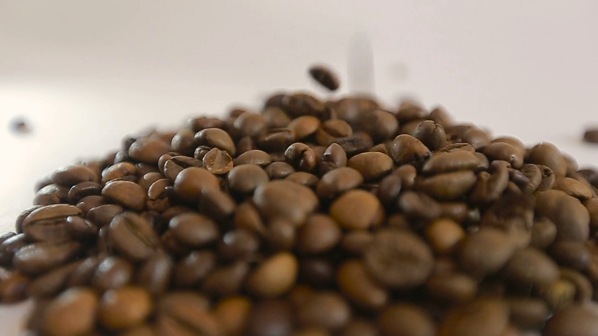 Coffee beans dropping Stock Video Footage - Storyblocks