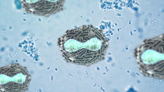 Cancer Research | Effects and Overlays motion backgrounds - Storyblocks