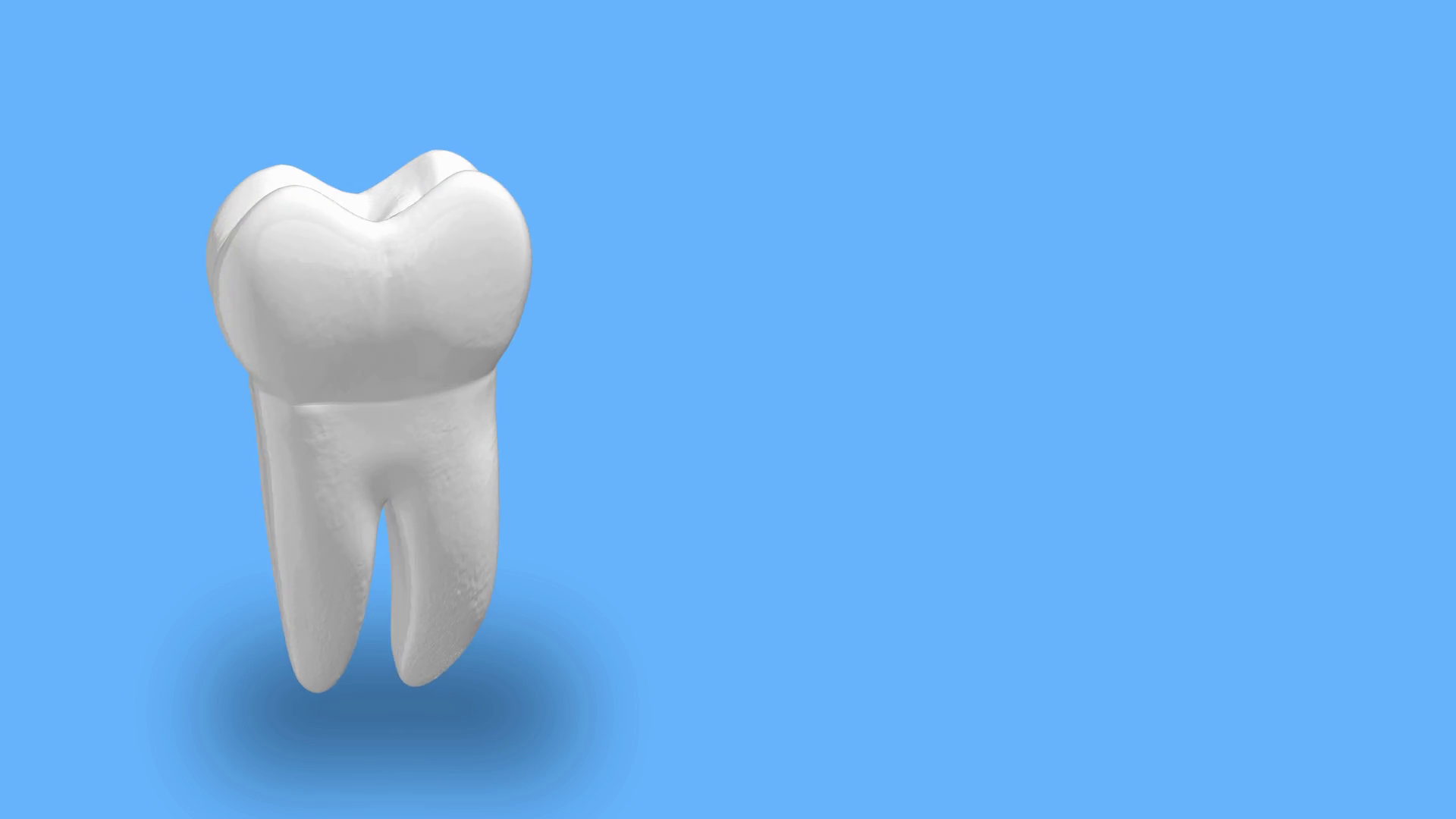 White Tooth Spinning On Blue Background Stock Motion Graphics SBV ...