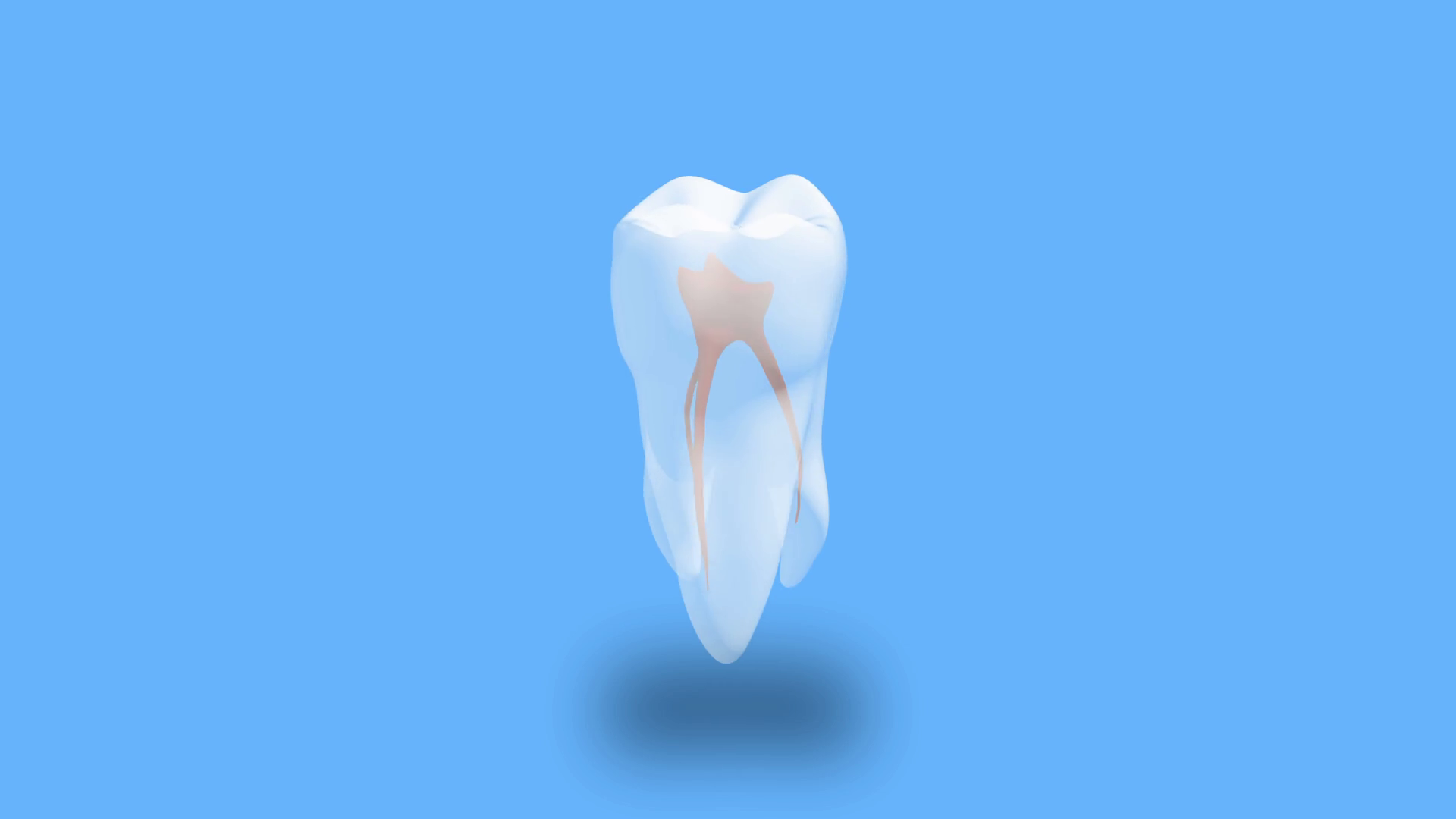 3d Animation Of Endodontics Inner Structure Stock Motion Graphics SBV ...