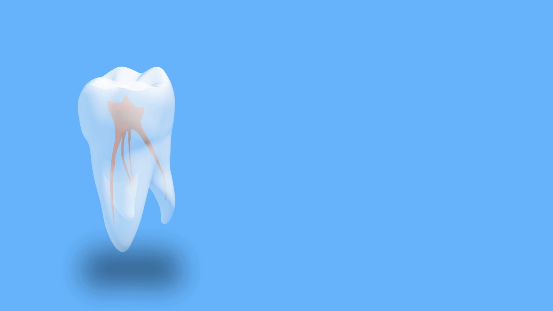 3d Animation Of Rotating White Tooth With Stock Motion Graphics SBV ...