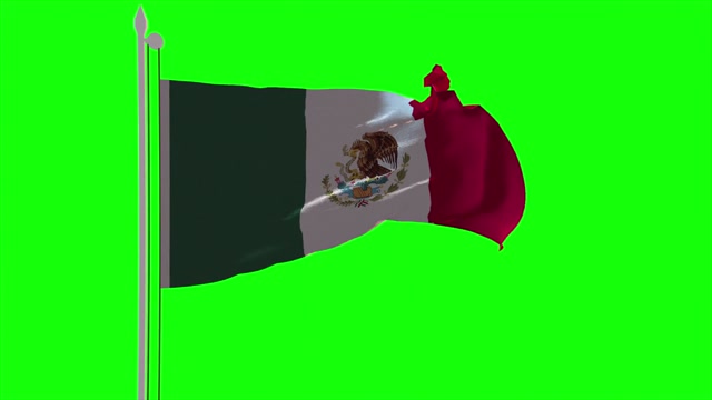 World Green Screen Stock Footage: Royalty-Free Video Clips - Storyblocks