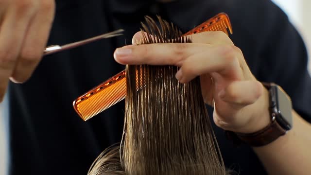 Master Hair Stock Footage: Royalty-Free Video Clips - Storyblocks