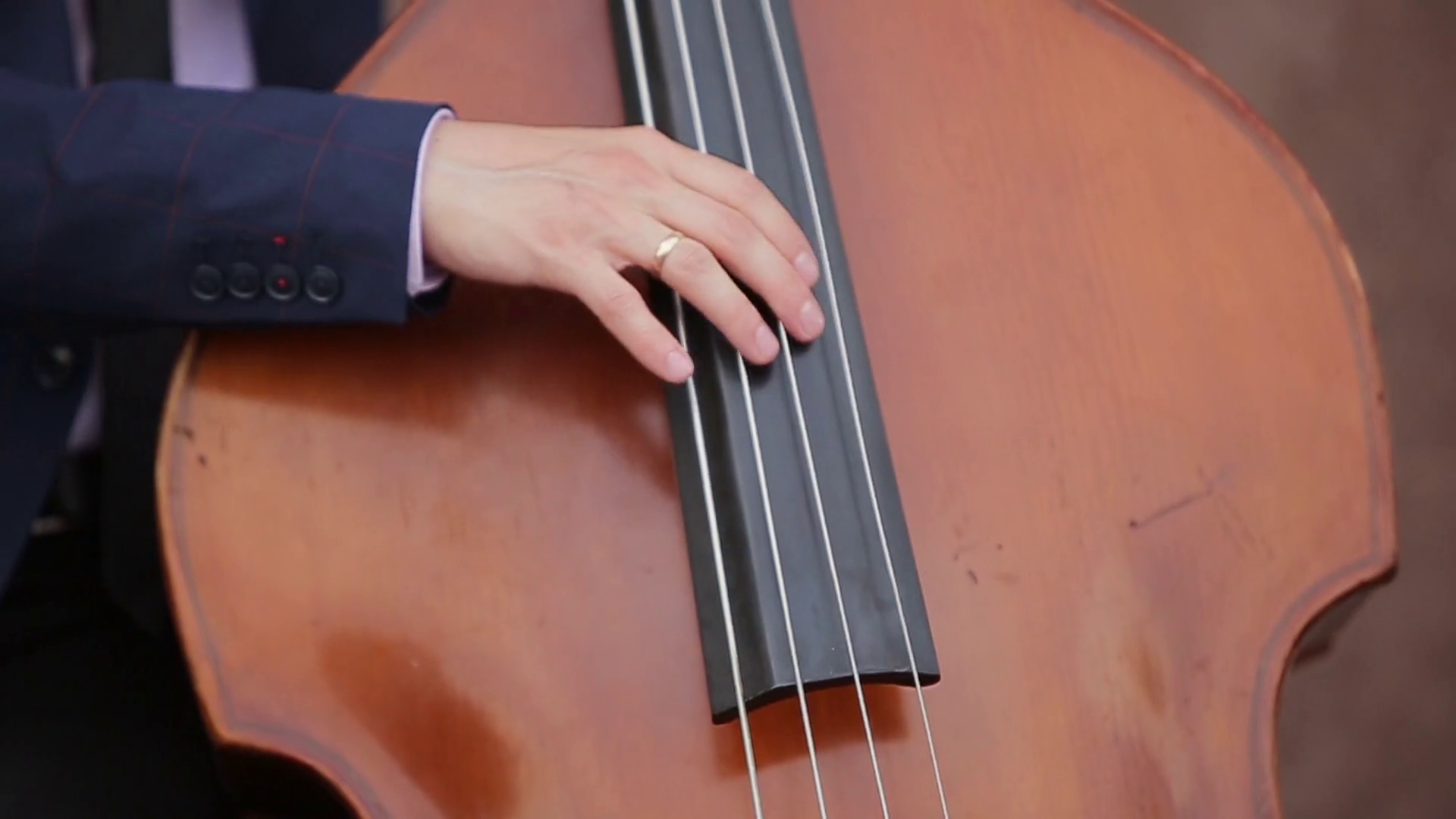The Musician Plays Double Bass Stock Footage SBV-324548282 - Storyblocks
