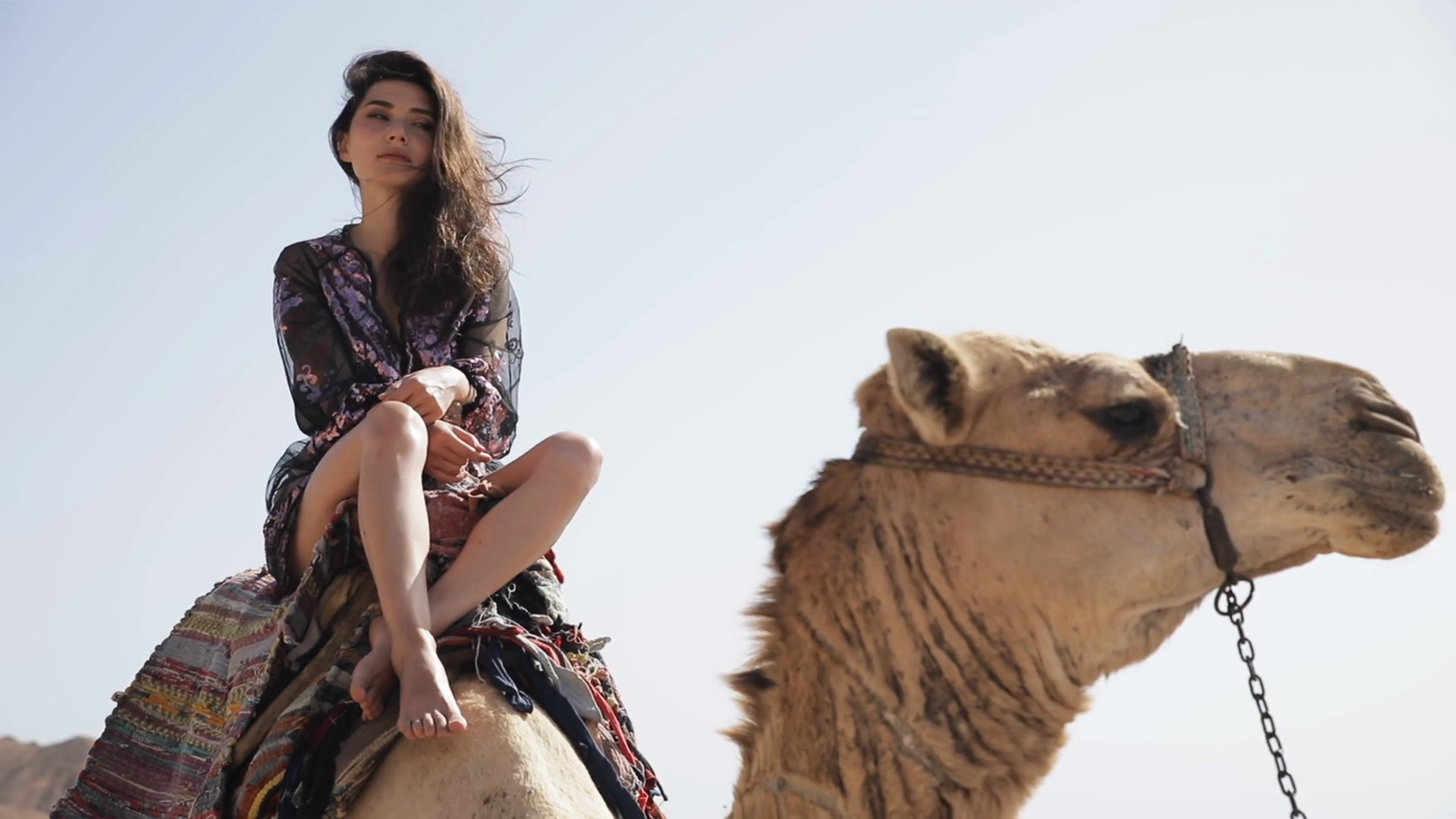 Vacation and holidays concept. Happy asian woman riding on camel ...