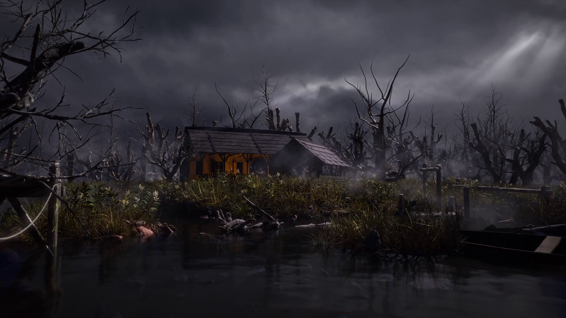 Swamp Environment Stock Motion Graphics SBV-348692639 - Storyblocks