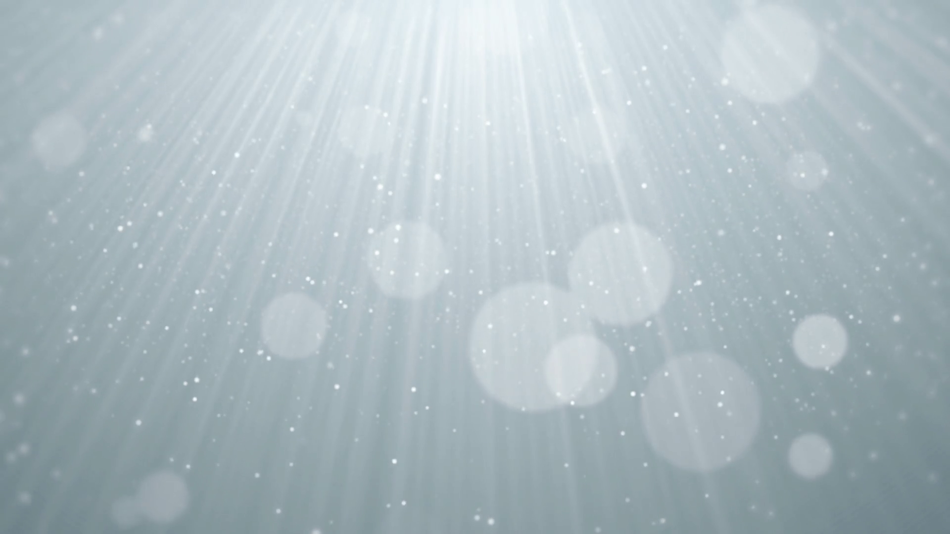 Particles White Bright Glitter Bokeh Dust Stock Motion Graphics SBV ...