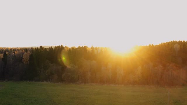 Cinematic Forest Stock Footage: Royalty-Free Video Clips - Storyblocks