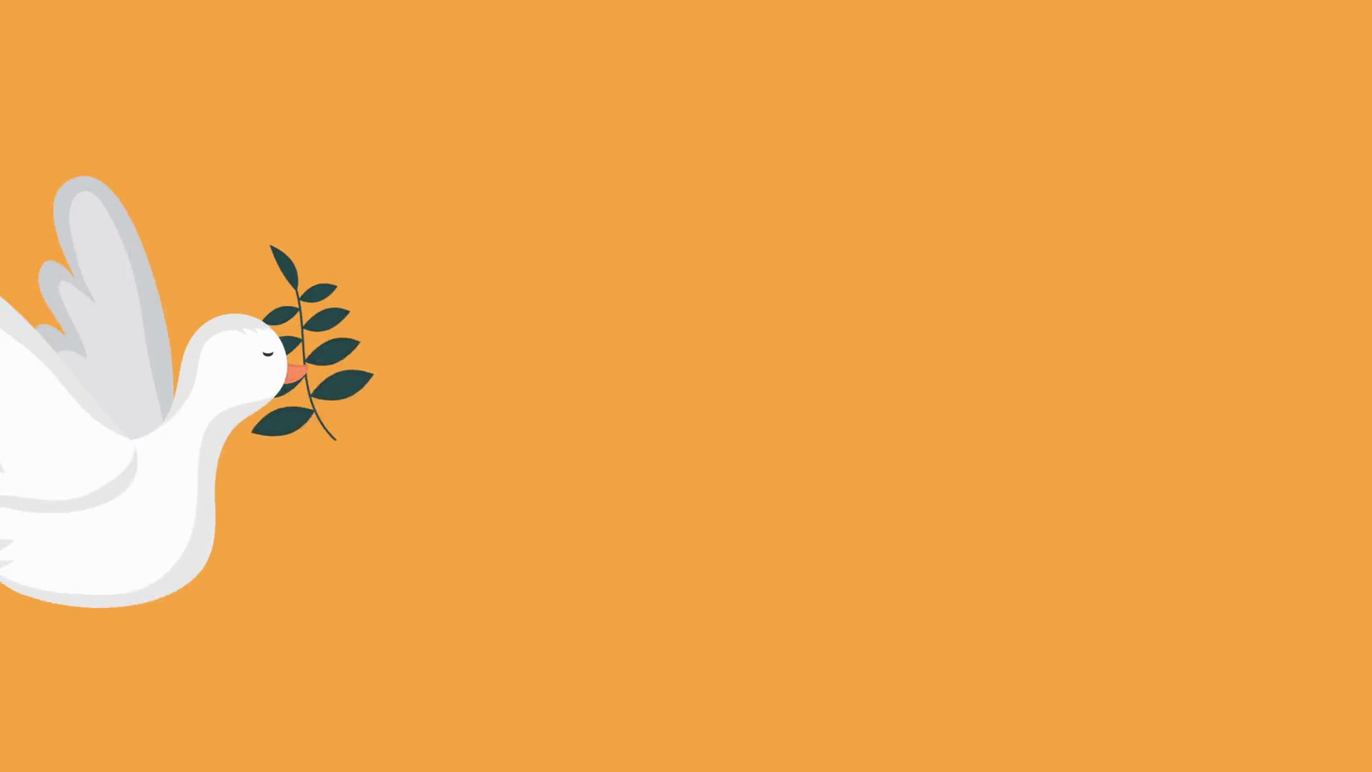 Human Rights Animation With Dove Flying 4k Stock Motion Graphics SBV ...