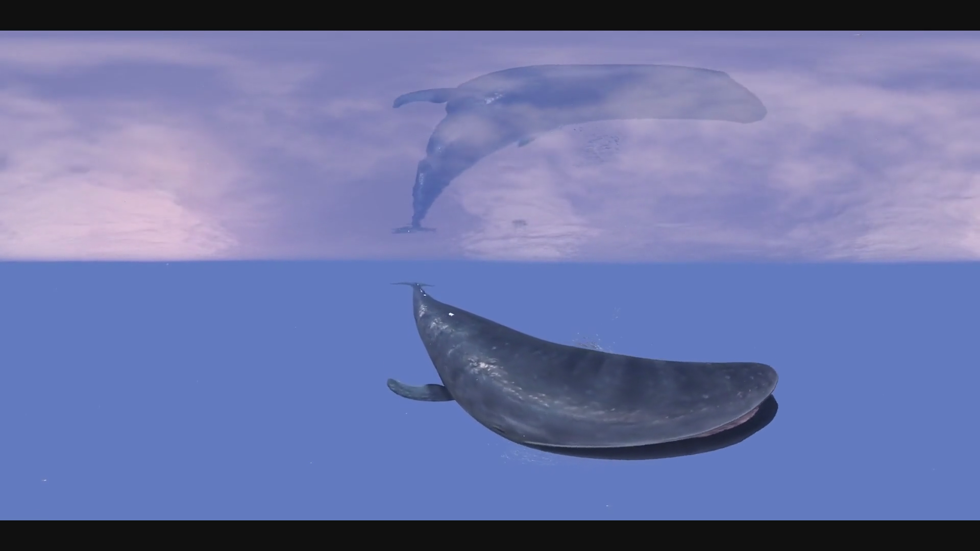 Majestic Blue Whale Scary Great White Shark SBV-308941462 - Storyblocks