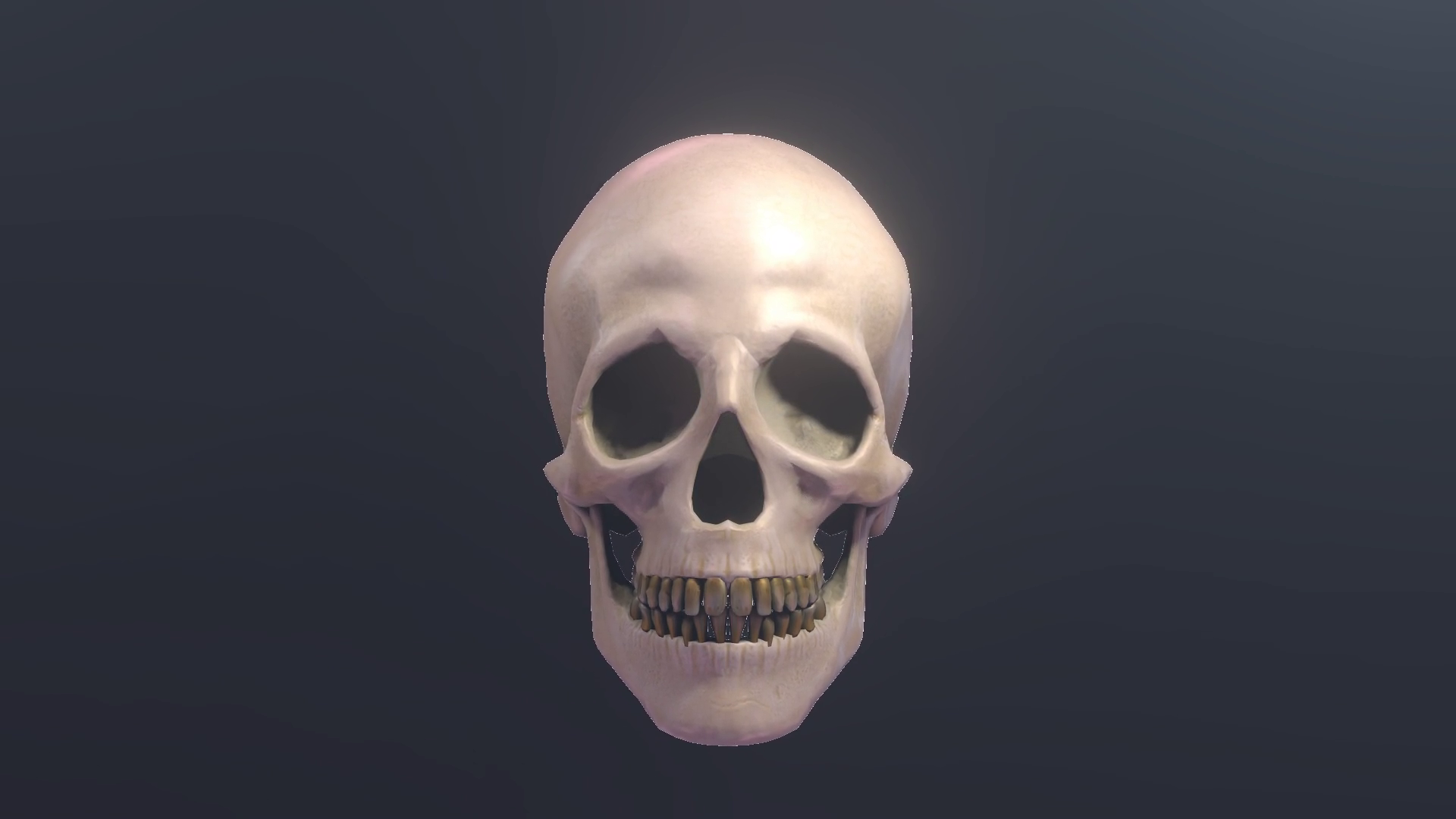 Human Skull with Alpha Channel for Compositing Motion Background ...