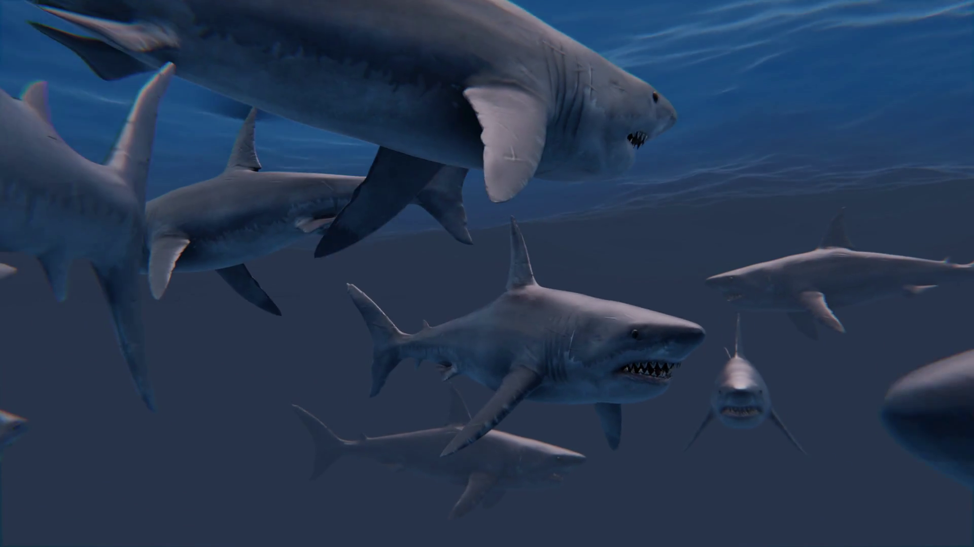 Shark Attack in Infested Waters. High-quality 3d animation. Stock Video ...