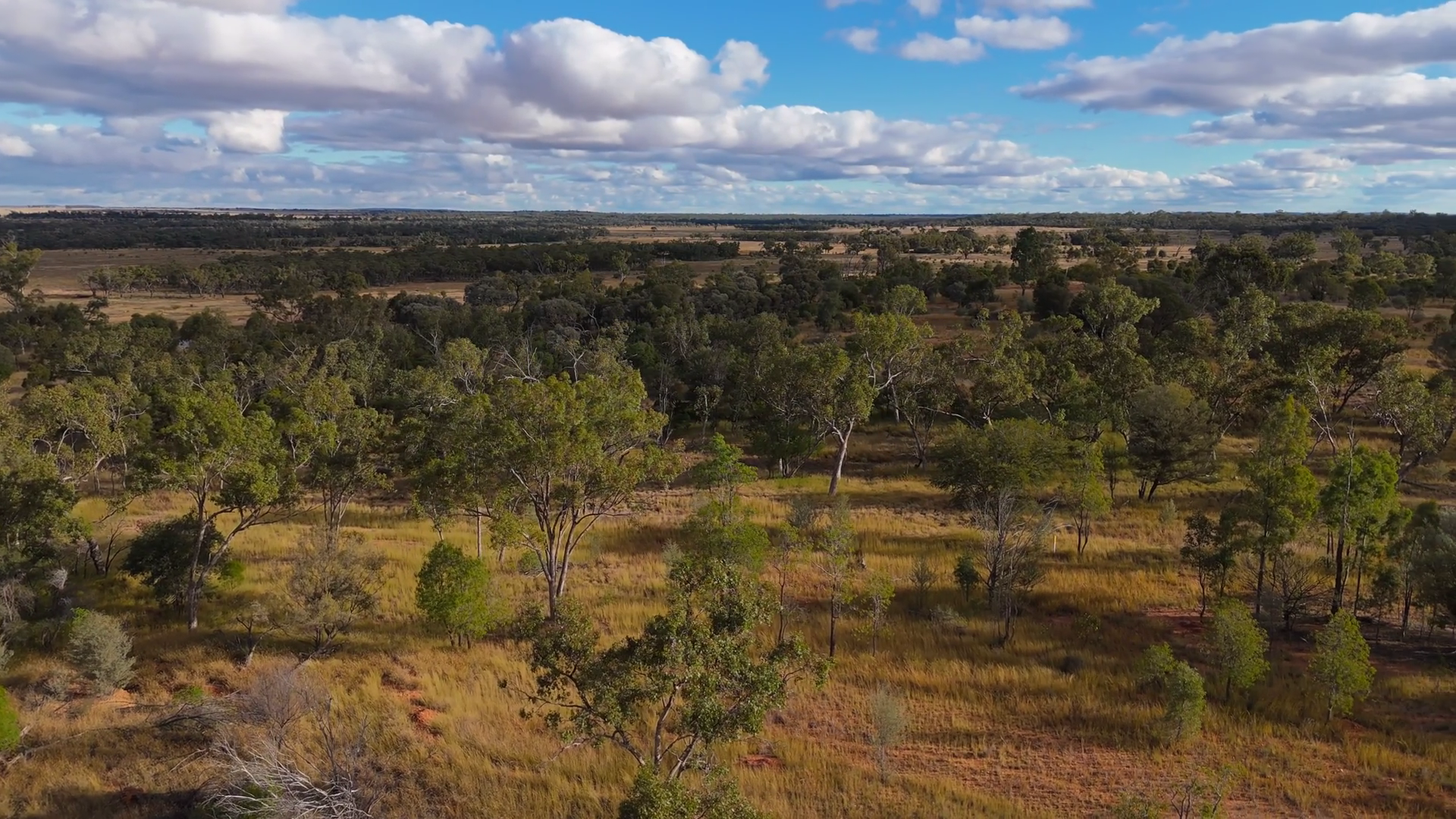 Regional Australia Outback Town Sign Stock Footage SBV-352653689 ...