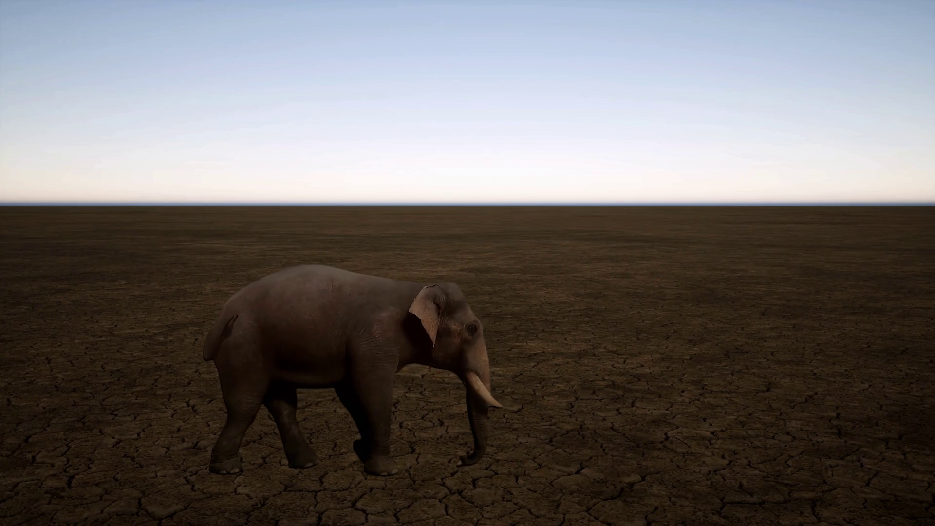 A lone Elephant walking slowly across a dry, barren and desolate ...