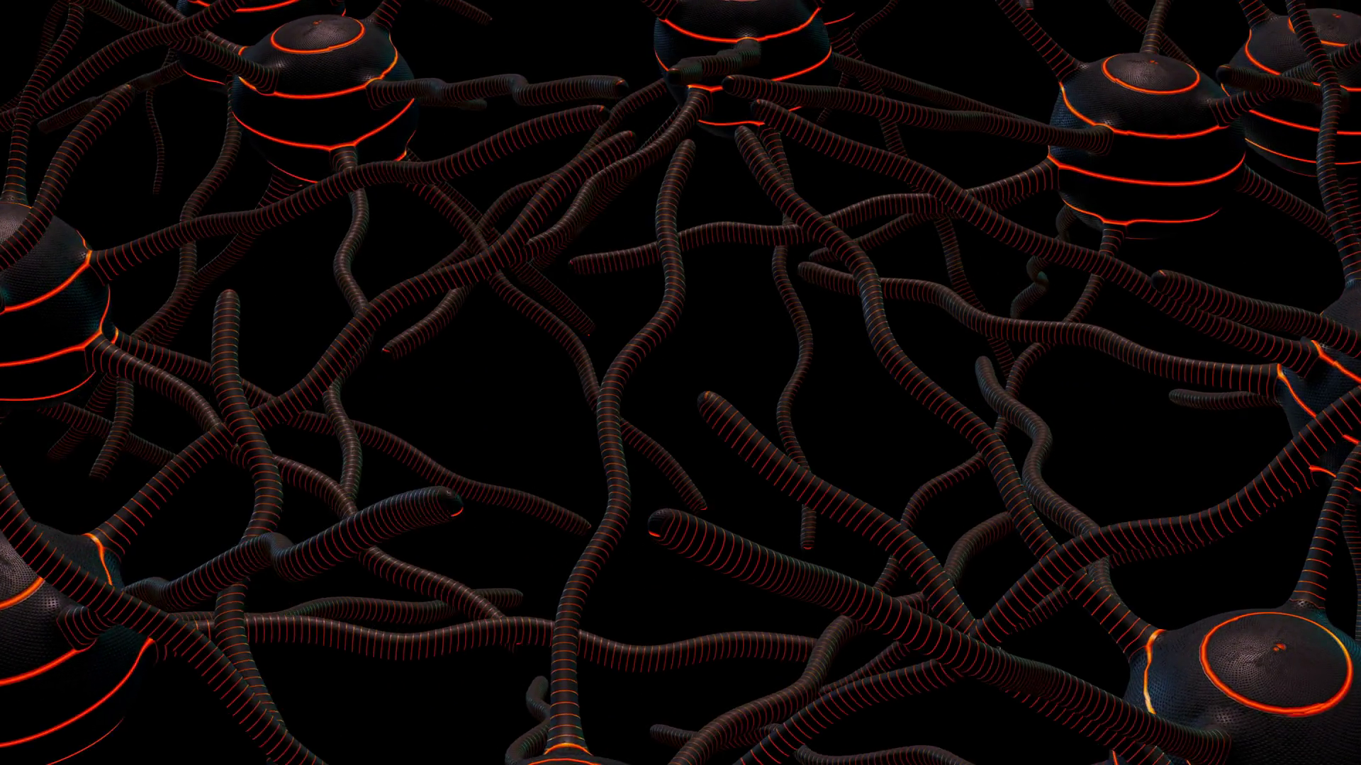 A Perfectly Synchronized Dance Of Neurons In Stock Motion Graphics SBV ...