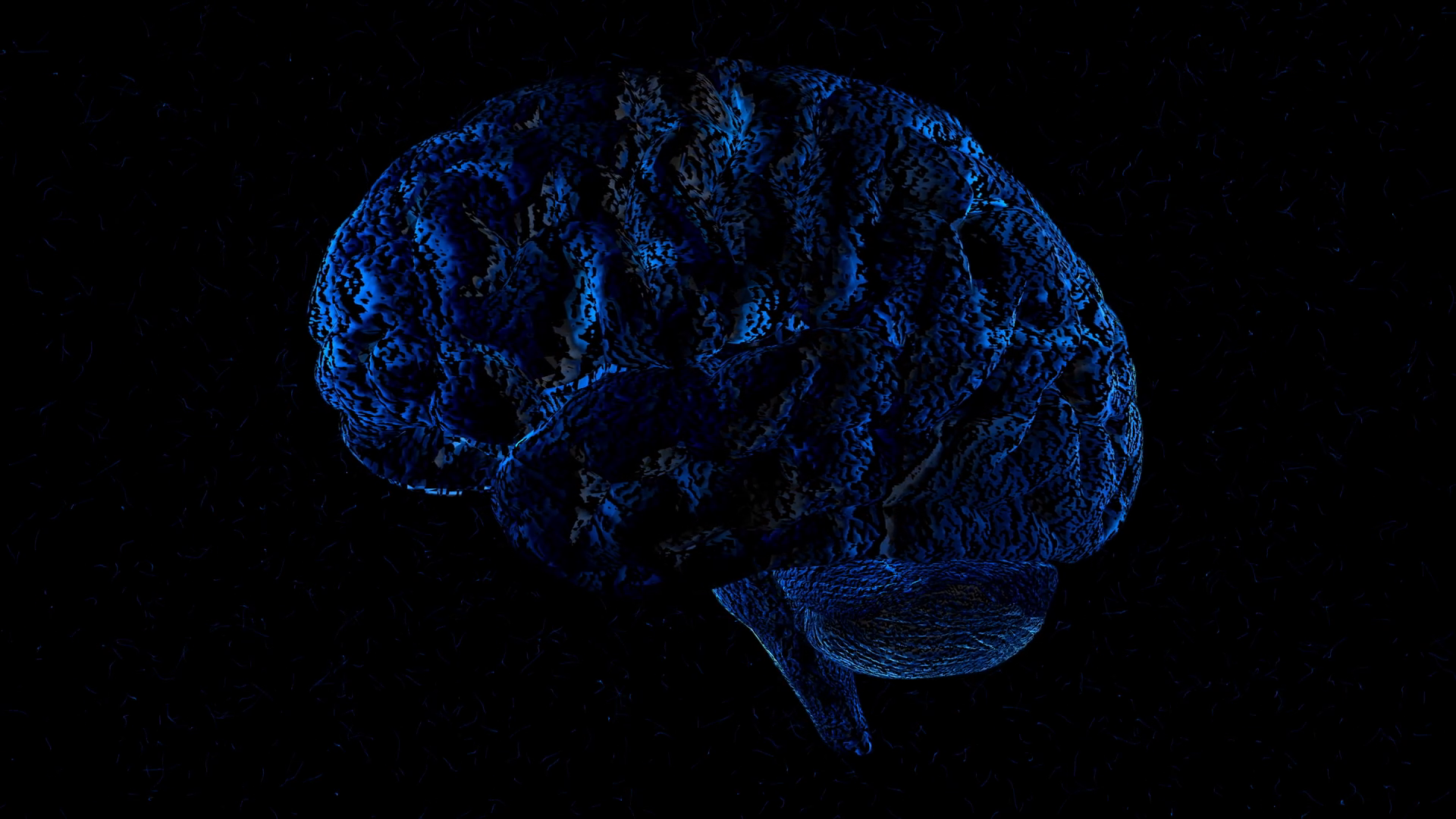 A Three-dimensional Model Of Human Brain Stock Motion Graphics SBV ...