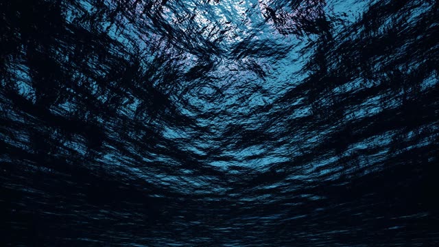 Underwater Looking Up Stock Footage: Royalty-Free Video Clips - Storyblocks