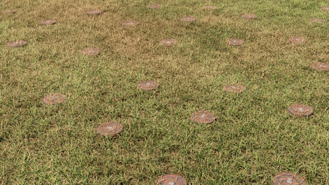 Land Mines Stock Footage: Royalty-Free Video Clips - Storyblocks