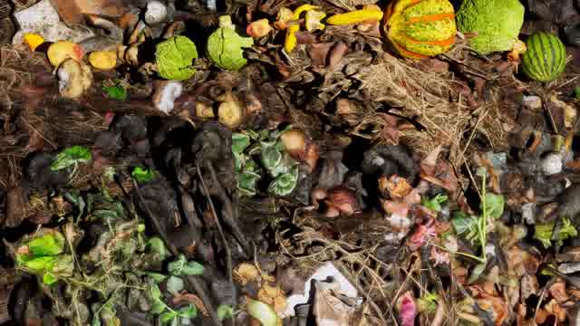 Biodegradable Waste Stock Footage: Royalty-Free Video Clips - Storyblocks