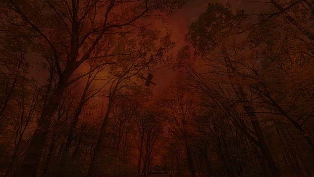 Stock Footage: Royalty-Free Video Clips - Storyblocks