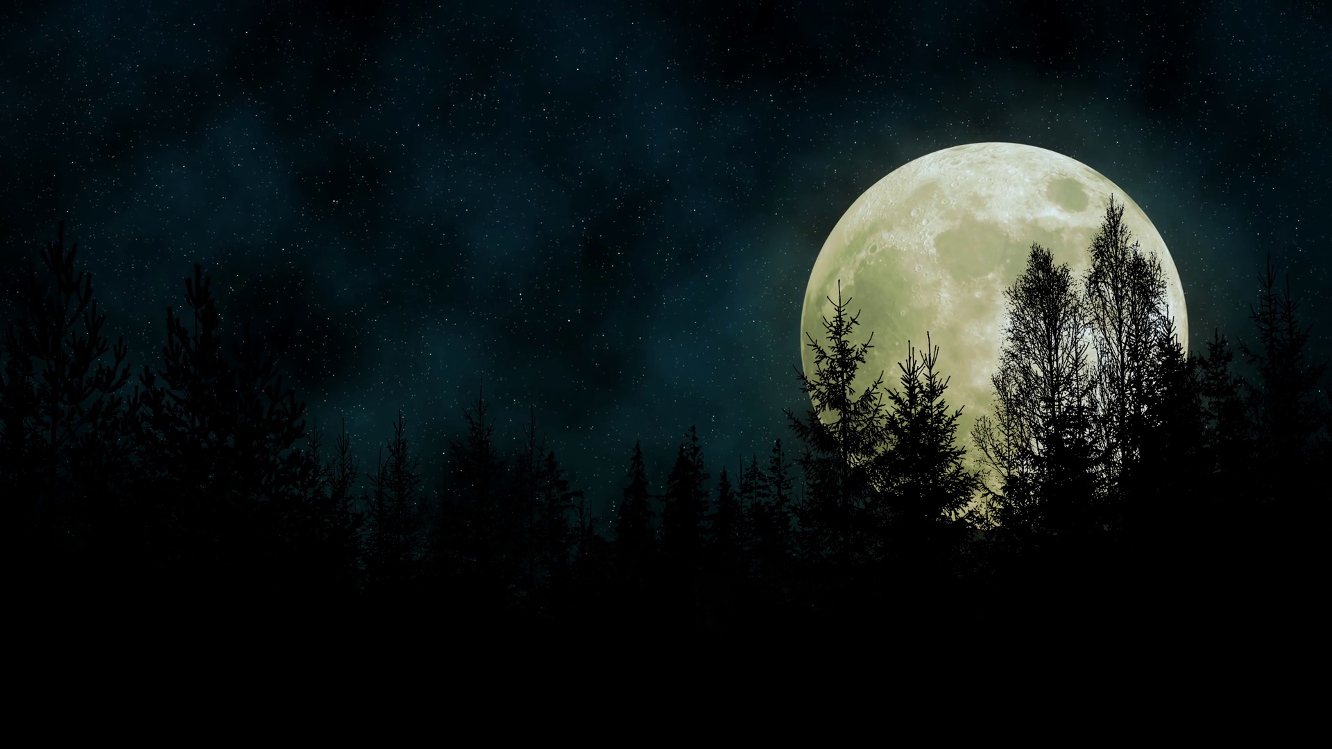 A Full Moon Rising Slowly Behind Forest Stock Footage SBV-338792921 ...