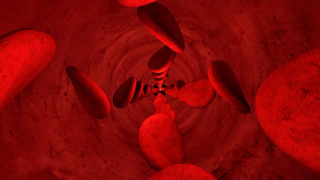 Blood Flow Stock Footage: Royalty-Free Video Clips - Storyblocks