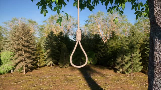 Hanged Man Stock Footage: Royalty-Free Video Clips - Storyblocks